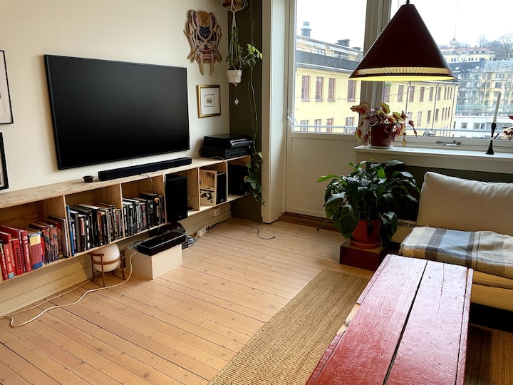 Hyggelig, Sentralt Og Stille - Oslo