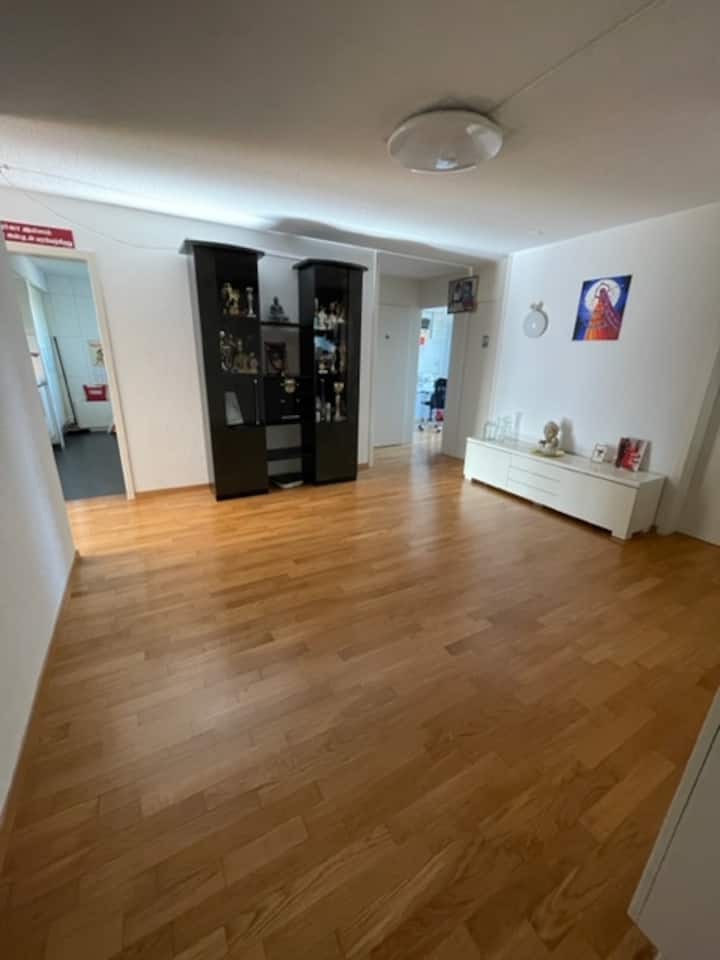 Möblierte Helle Wohnung In Bern - Bern