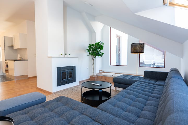 Luxury Penthouse - Augarten - Vienna