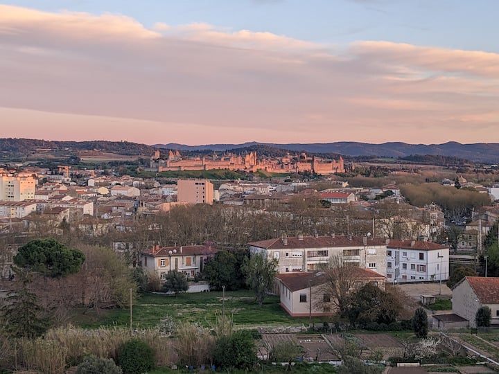 Vue Imprenable Sur La Cité - Carcassonne