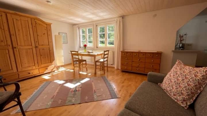 Schwarzwaldzauber, Altes Forsthaus Im Wald - Grafenhausen