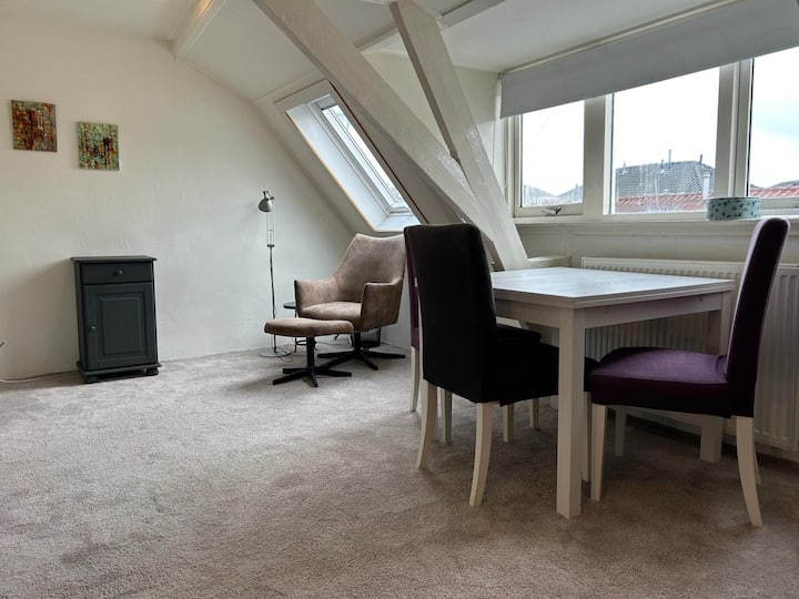 Front Room Near Central Station - Utrecht