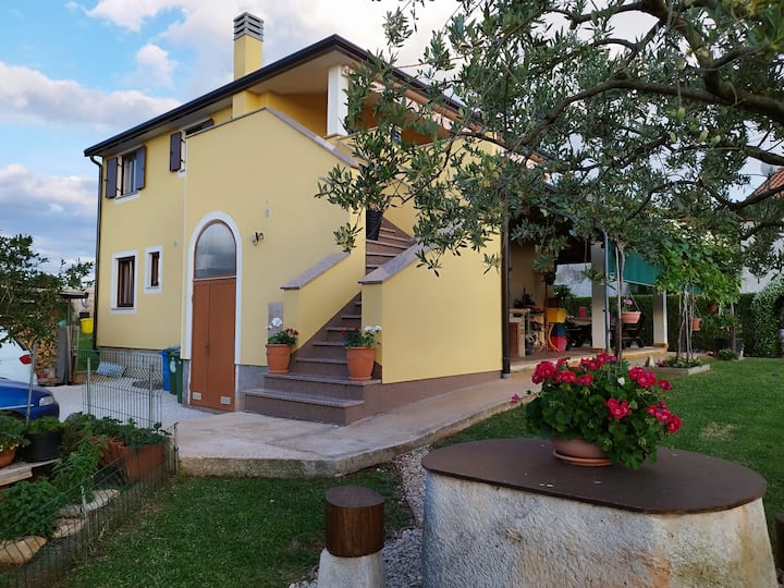 Nika's Seaview Oasis - Umag