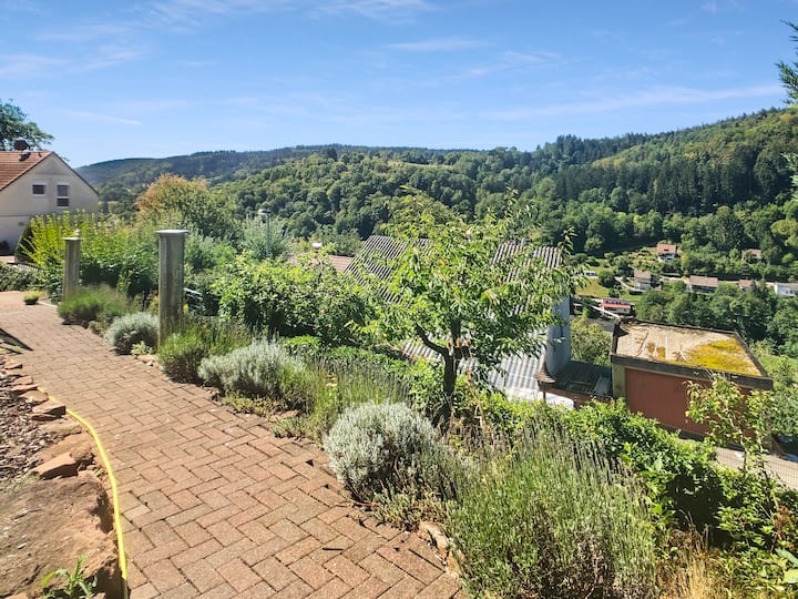 Traumhafte Wohnung Am Waldrand - Neckarsteinach