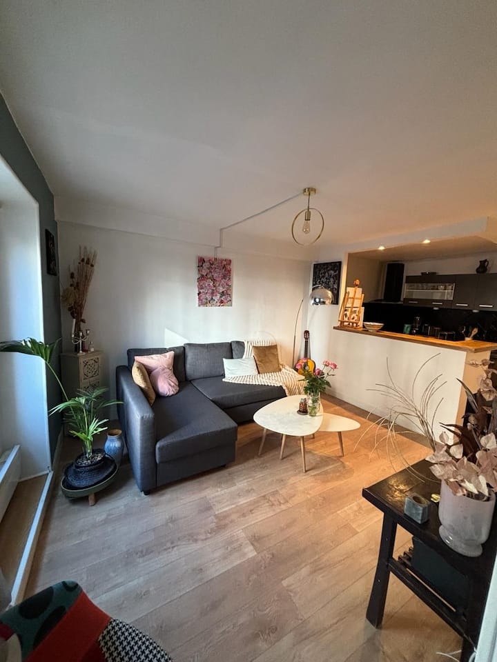 Appartement Moderne Parisien - Paris