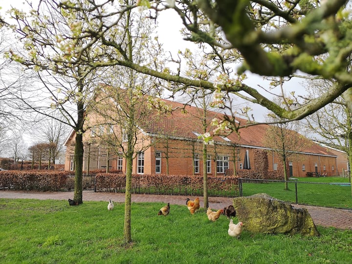 B & B Tussen Koe & Kroonluchter - Oirschot