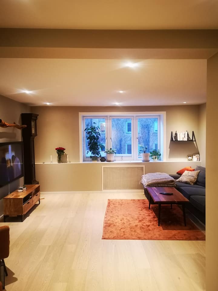 Stor Og Sentral Leilighet - Oslo