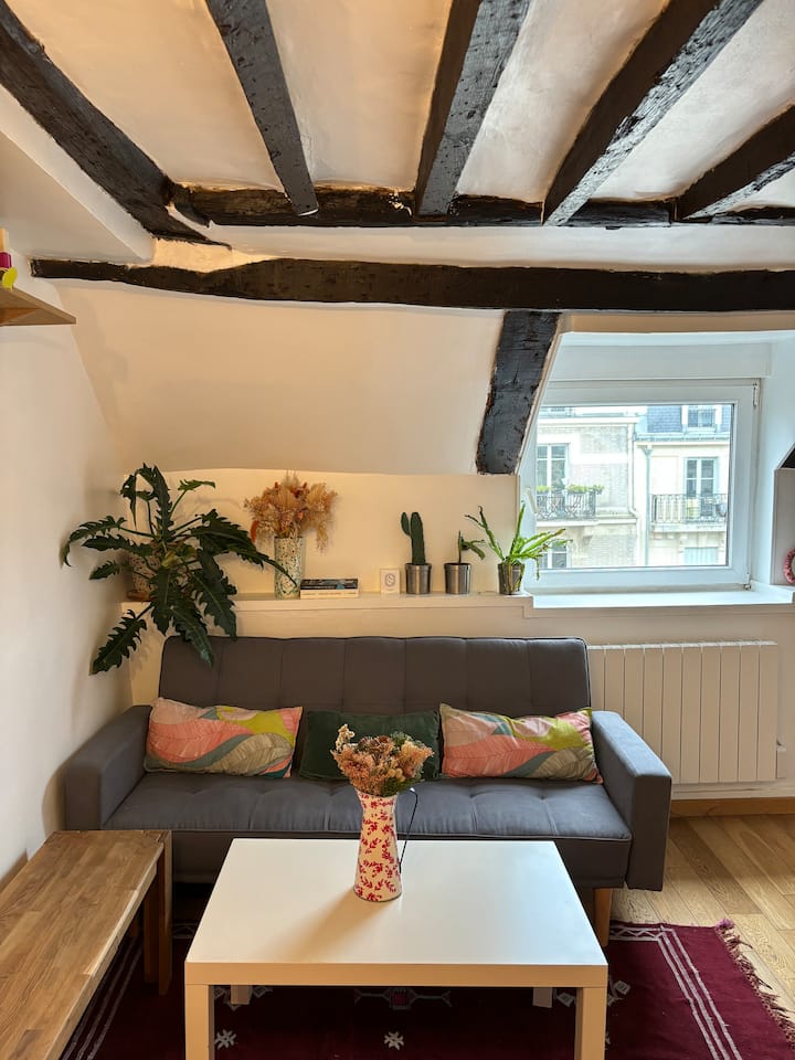 Joli Appartement Canal St-martin - París
