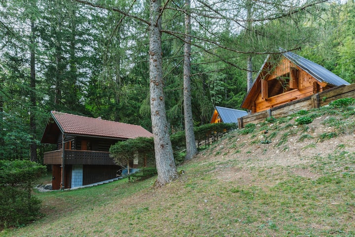 Završnica Woodhouse - Radovljica