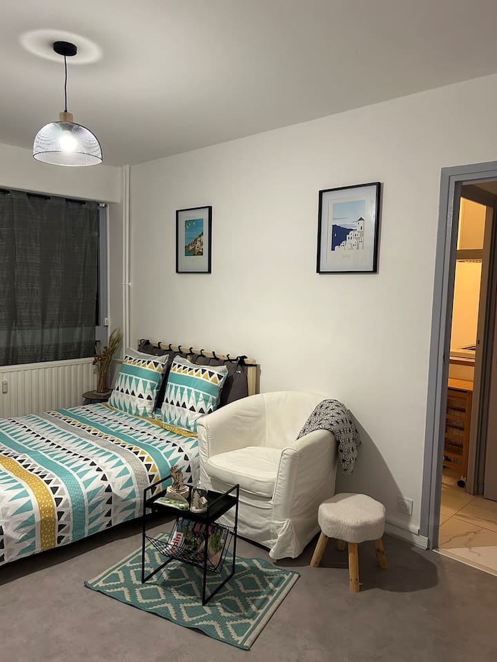 Cocon Chaleureux Centre Ville - Saint-Étienne