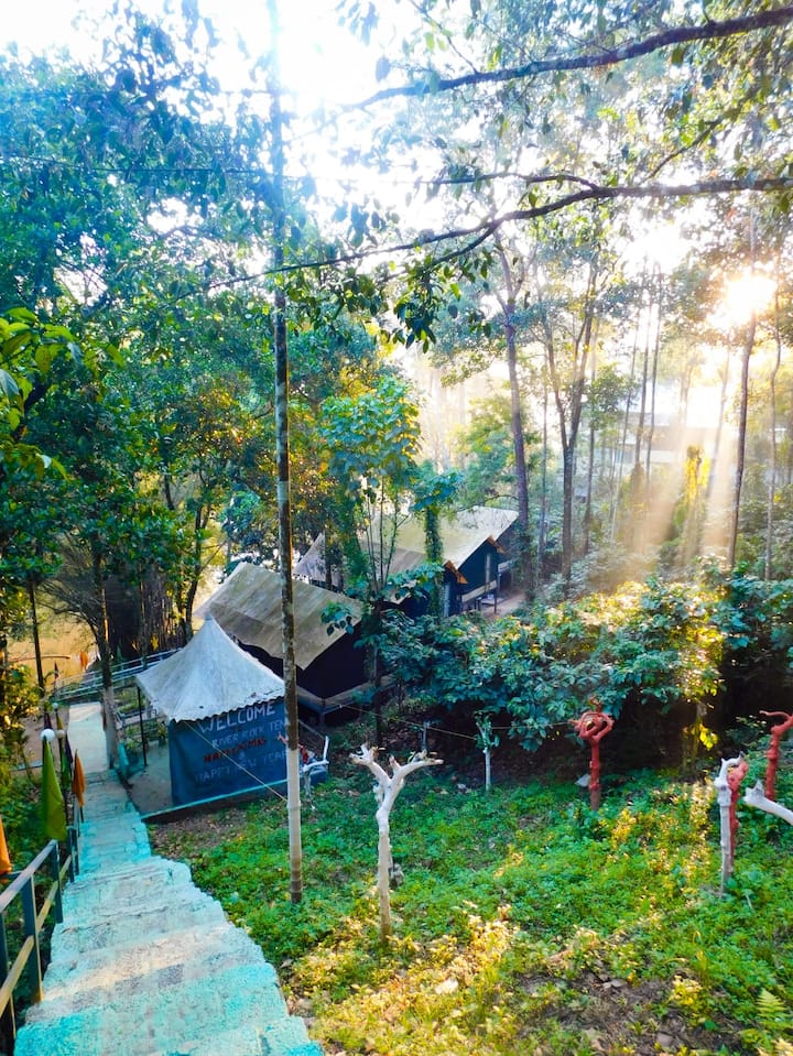 Luxury Tent Houses Munnar - Munnar