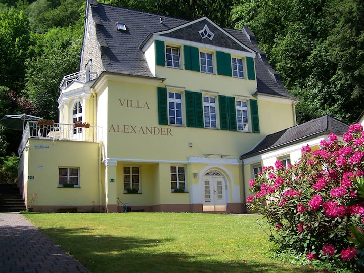 Villa Alexander - Braubach