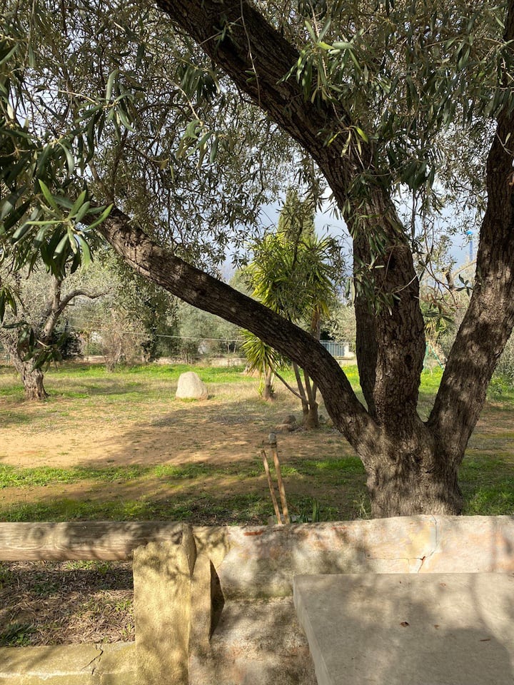 Relax A Capo Comino {White} - Posada