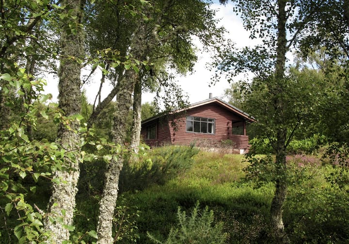 The Log Cabin, Golspie - Golspie
