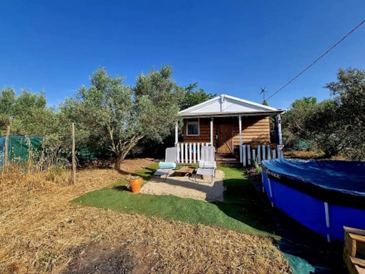 Chalet Au Cœur D'une Oliveraie - Saint-Gilles, France