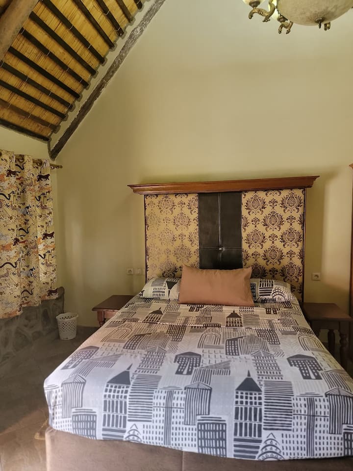 Ivory Oasis - Lubumbashi