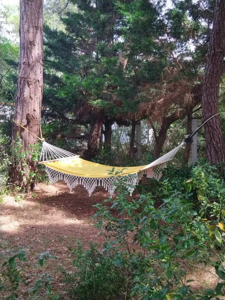 Maison 200 M De La Mer - La Tremblade