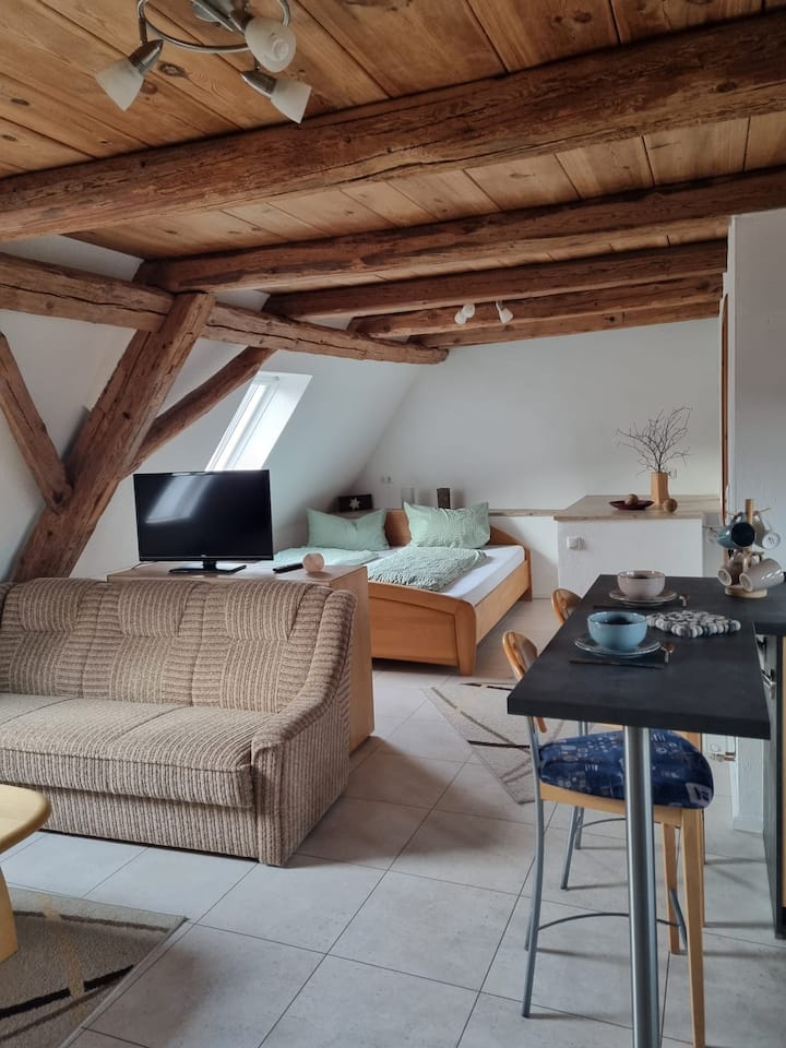 Gemütliche Dachgeschosswohnung - Nuremberg