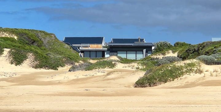 The Happy Mongoose, On The Beach. - Cape Saint Francis