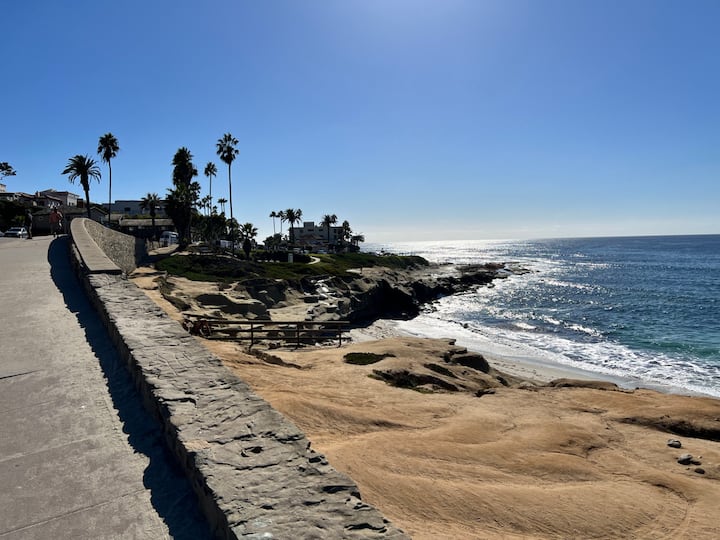 Amazing Cozy Apartment In The Heart Of La Jolla - University City - San Diego