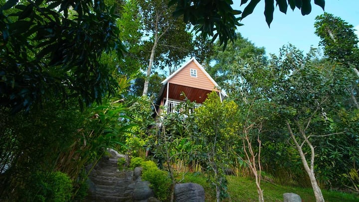 Stylish Hut Munnar - Munnar