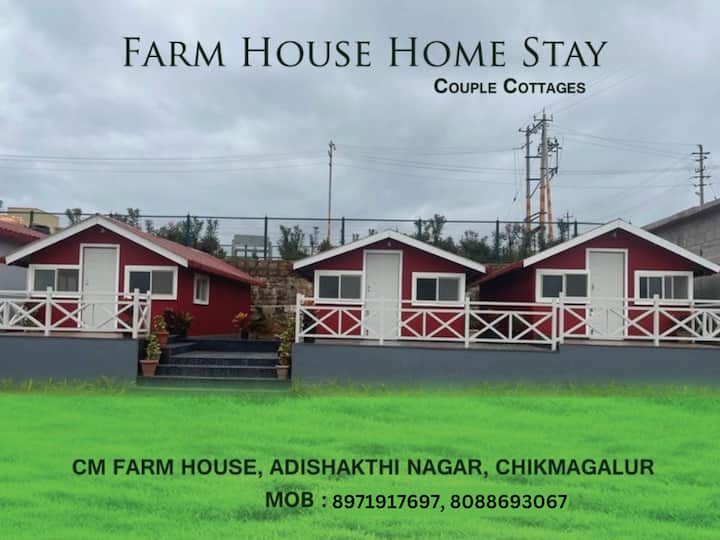 Farmhouse Homestay In Scenic Cofeeland Chikmagalur - Belur