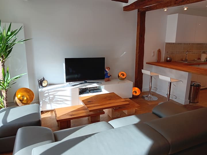 Au Coeur Historique De Paris, Rénové à 100% - Paris