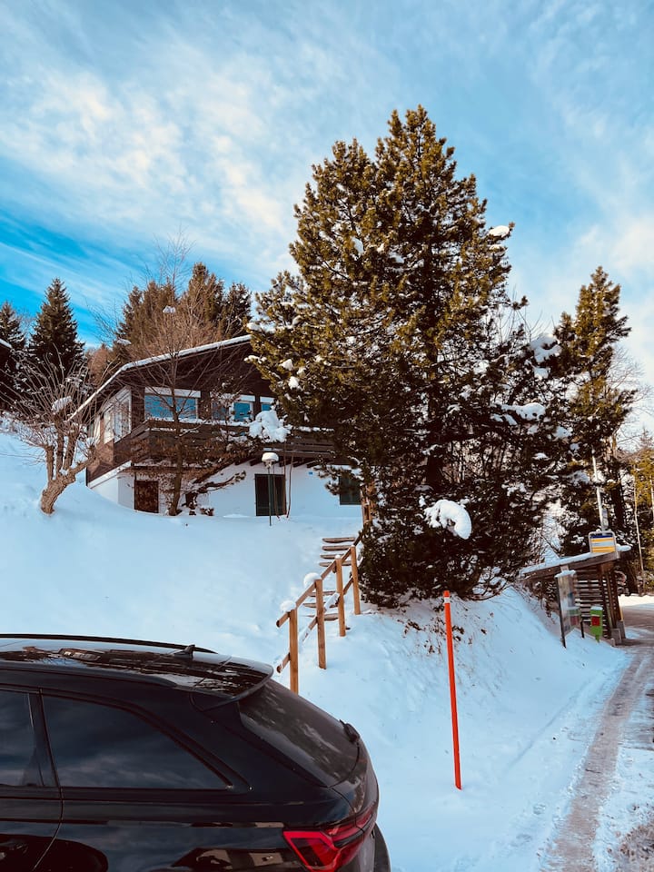 Modern Swiss Mountain Chalet - Suisse