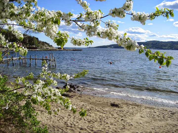 Solbergstrand - Hvitsten