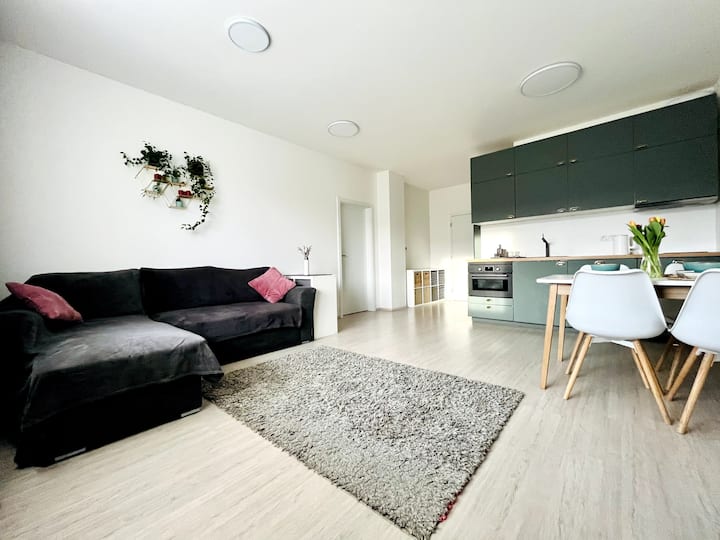 Modern Apartment In Brno - Brno