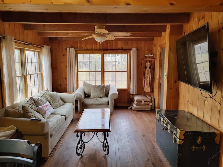Family Friendly Lakefront Cabin - Hudson, NY