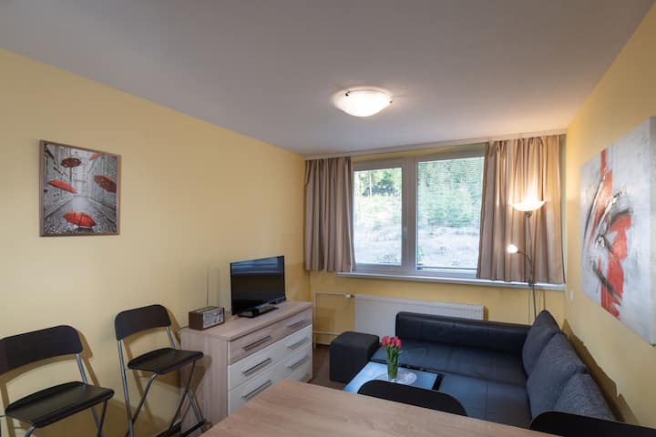 Apartmán Jasná 98 - Demänovská Dolina
