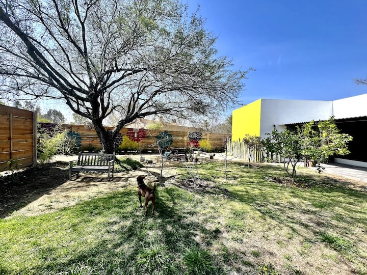 Mesquite Tree Retreat San Miguel De Allende - San Miguel de Allende