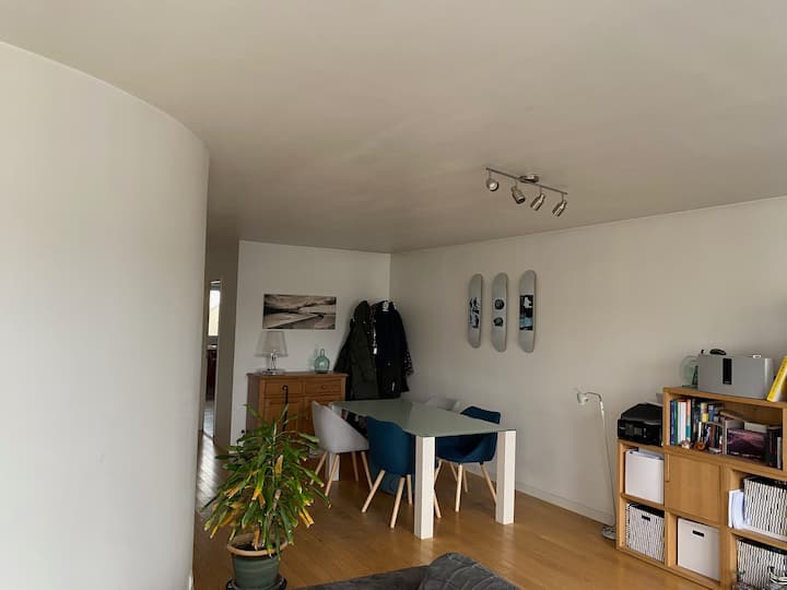Grand 3 Pieces Plein Sud ! - Poissy