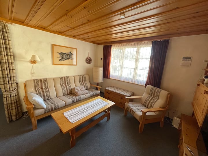 2-bedroom Centrally Located W/ Renovated Bathroom - Frutigen