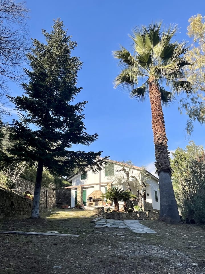 Villa Liselotte Charming House For 12 People - Imperia