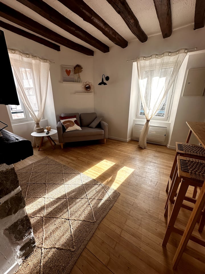 Charmant Appartement T2 En Hyper-centre - Gap