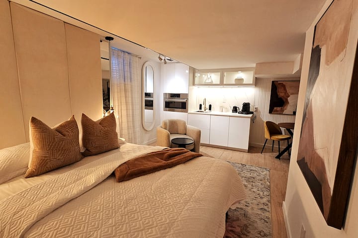 Luxurious Private Studio Portion (Basement) - Mississauga