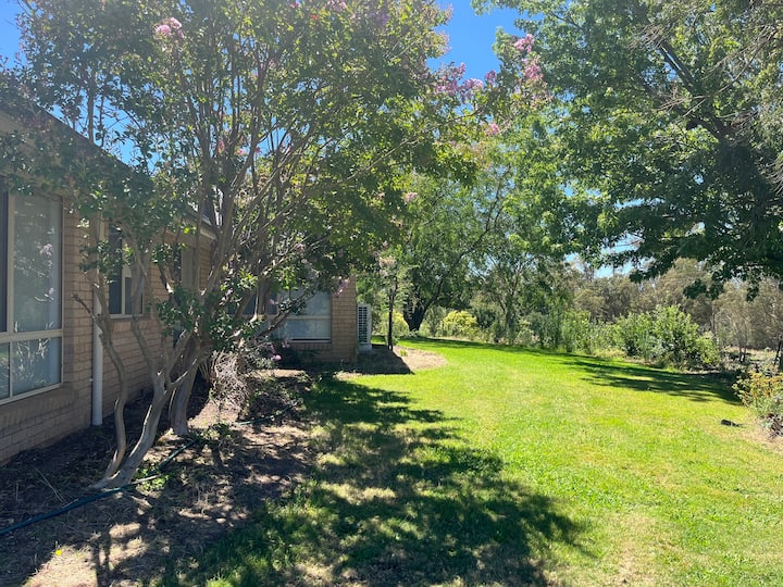 Close To Wineries, Rail Trail - Milawa