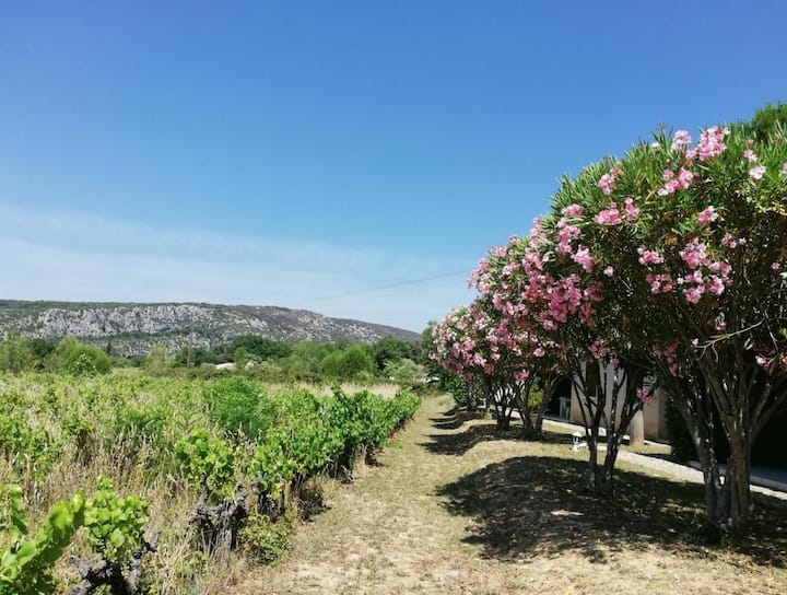 Pavillon Climatisé Avec Vue St Martin D’ardèche - Ardèche