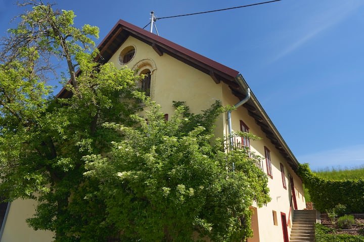 Braumeisterhaus  Eggenberg - Lambach