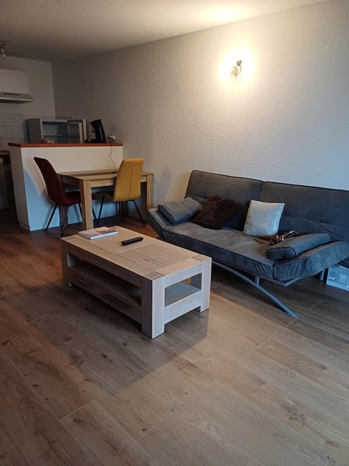 Appartement T2 , 2 Personnes - Toulouse