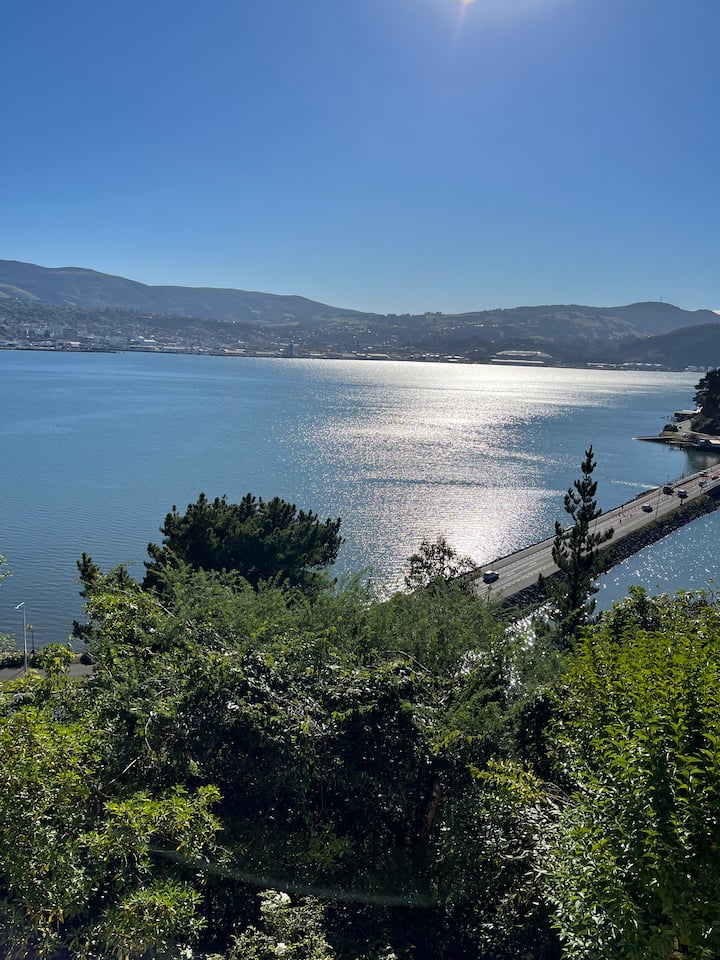 Sunshine & View - Dunedin