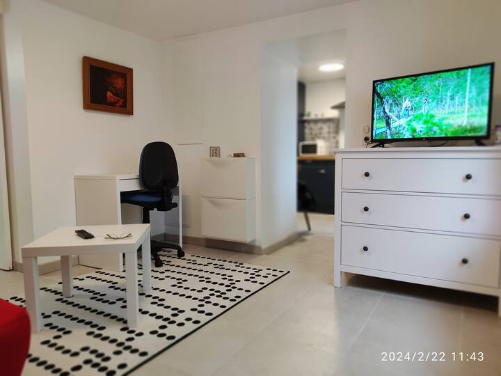 Très Beau Studio Meublé De 32m2 - Niederbronn-les-Bains