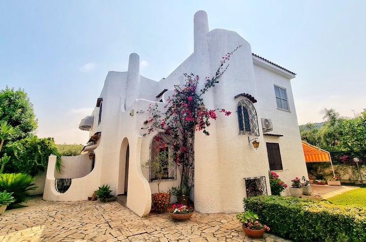 Villa Silvia, San Felice Circeo: Mare E Giardino - San Felice Circeo