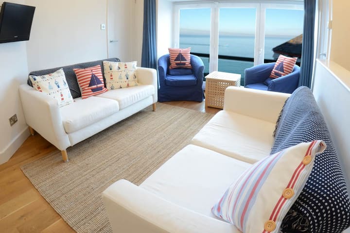 Watch Dolphins From The Windows - New Quay