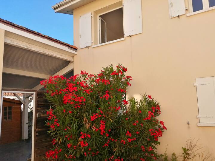 Maison De Vacances 3 Chambres - Vendays-Montalivet