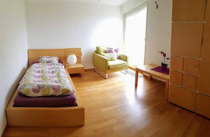 Chambre Indépendante Avec Salle De Bain - Lausanne