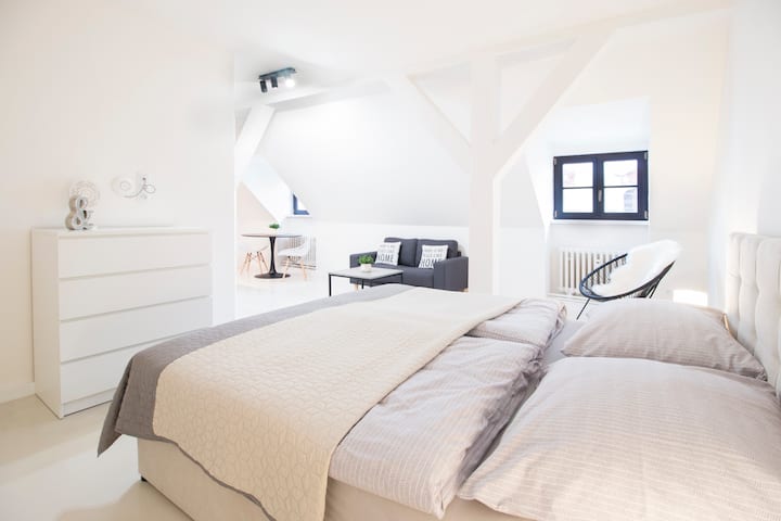 Jungmann - Litoměřice