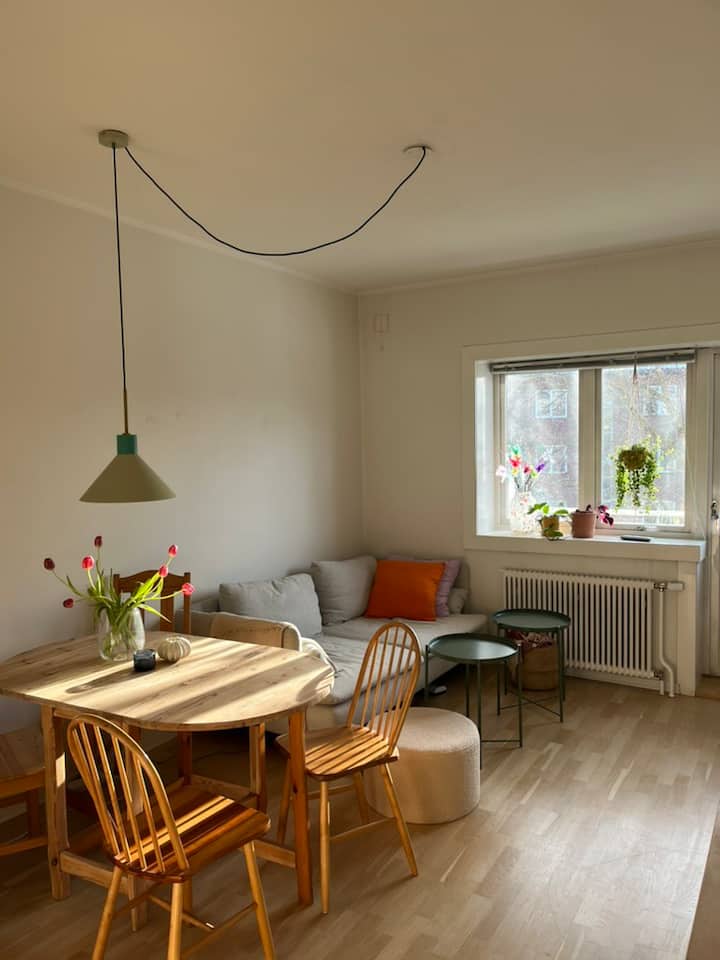 Sjarmerende, Sentral Leilighet M Solfylt Balkong - Oslo